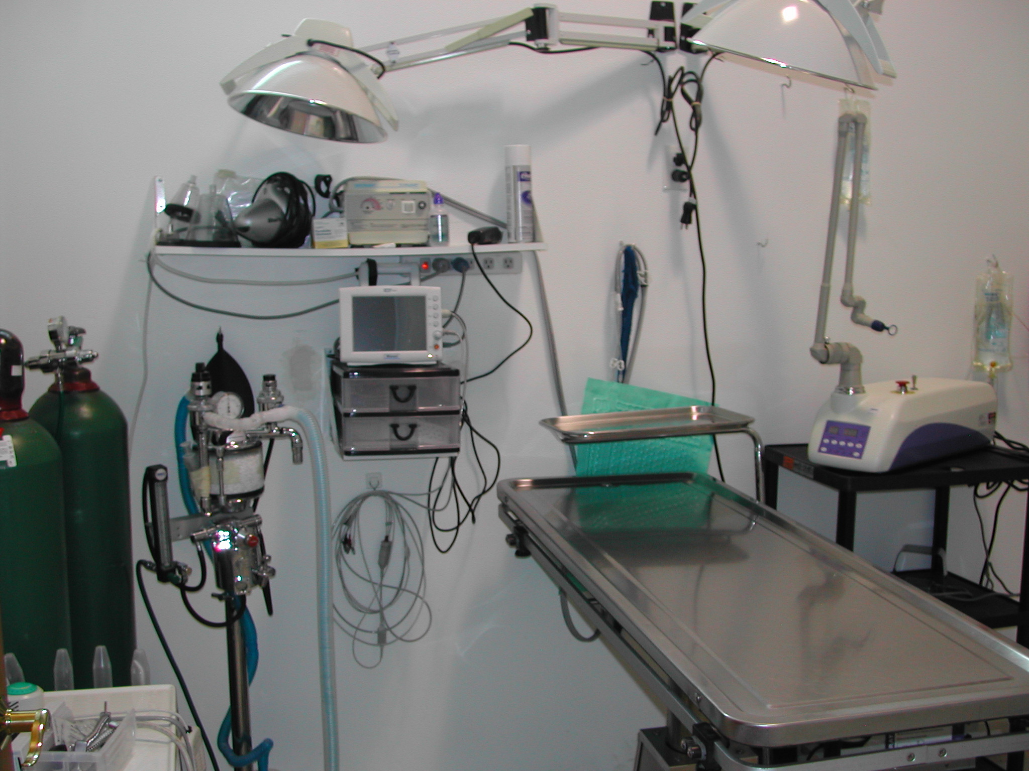 Take A Tour | Suffolk Veterinary Group Animal Wellness & Laser Surgery ...